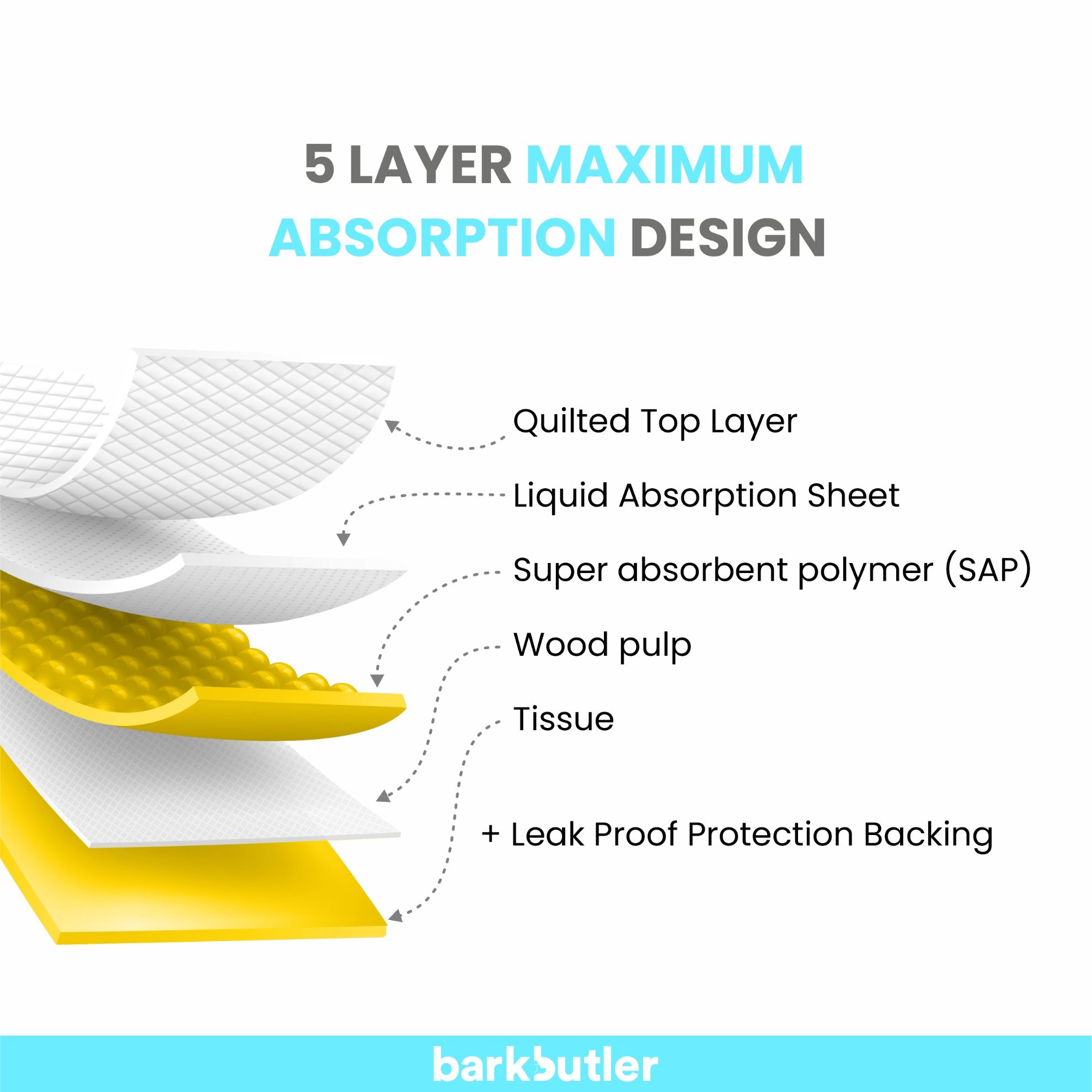 Shop the Best Pet Supplies Online | Petofy Everything Pets