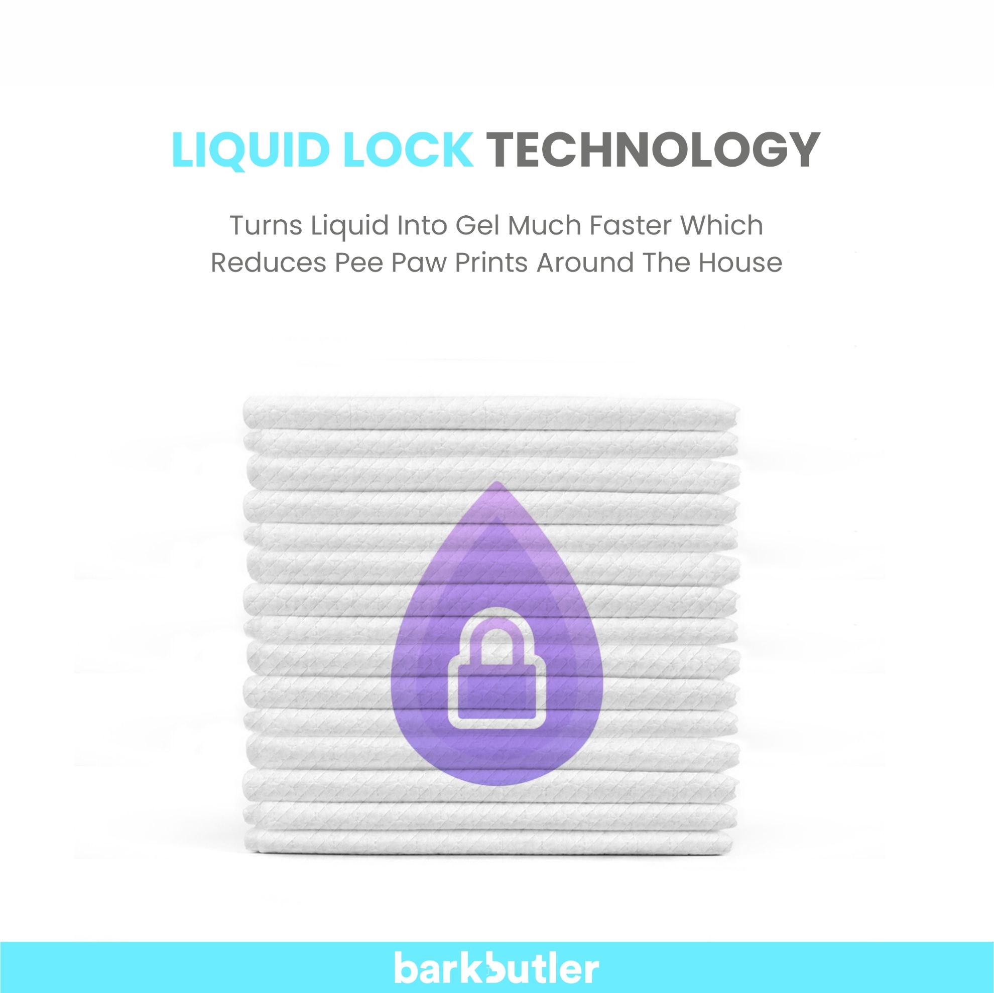 Shop the Best Pet Supplies Online | Petofy Everything Pets