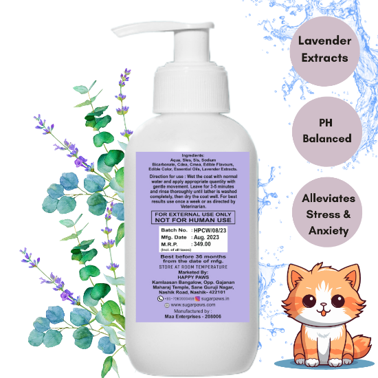 Shop the Best Pet Supplies Online | Petofy Everything Pets