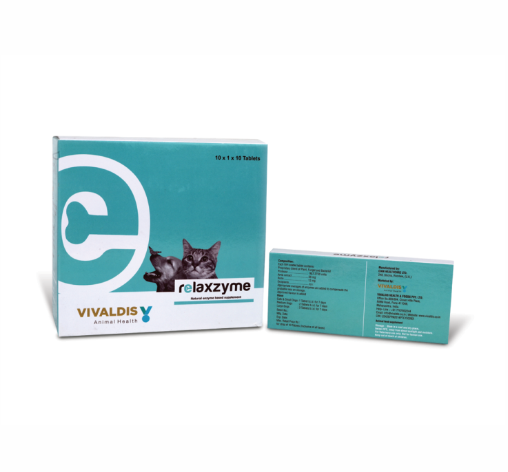 Shop the Best Pet Supplies Online | Petofy Everything Pets