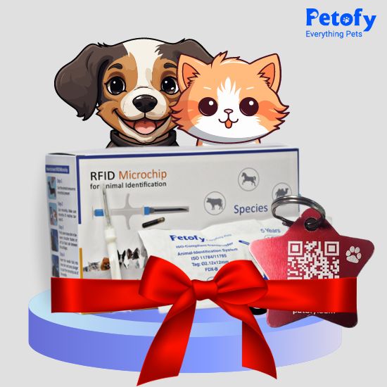 Shop the Best Pet Supplies Online | Petofy Everything Pets